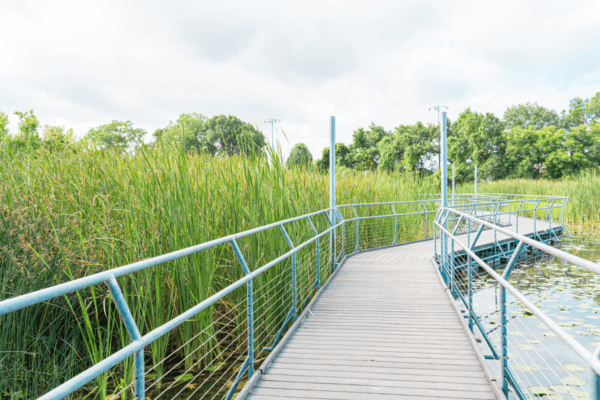 Best Hikes and Trails Near San Antonio - My Curly Adventures