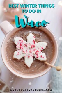 Winter Things to do in Waco - My Curly Adventures