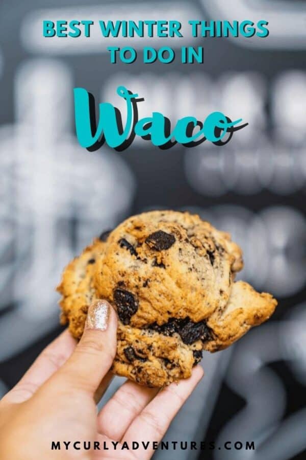 Winter Things to do in Waco - My Curly Adventures