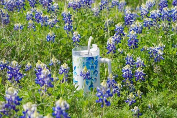 Texas Bluebonnet Gift Ideas - My Curly Adventures