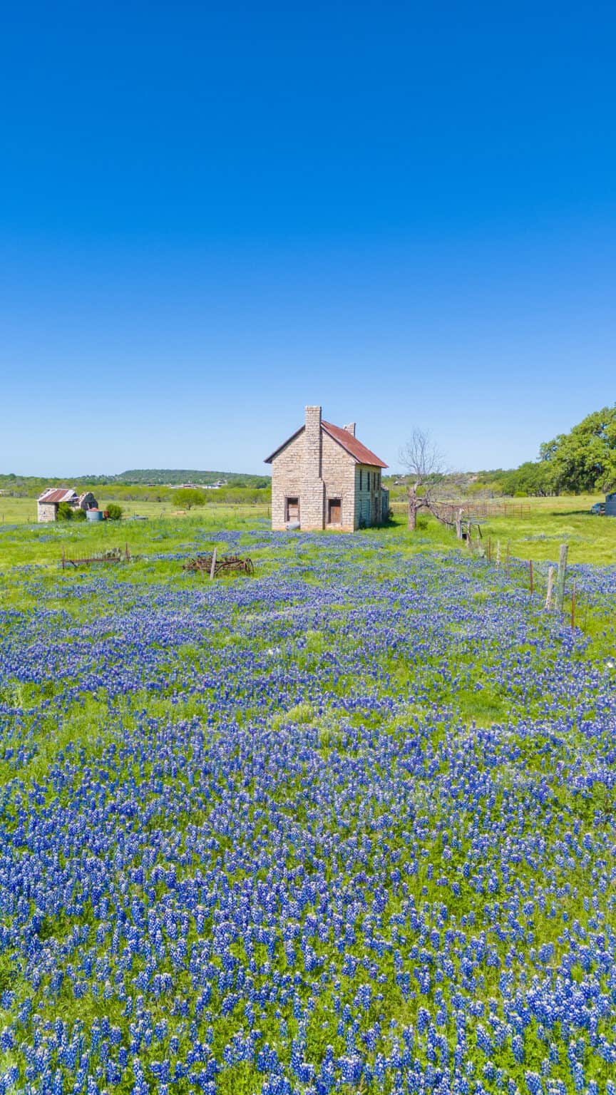 Best Spots to see Bluebonnets in Texas - My Curly Adventures