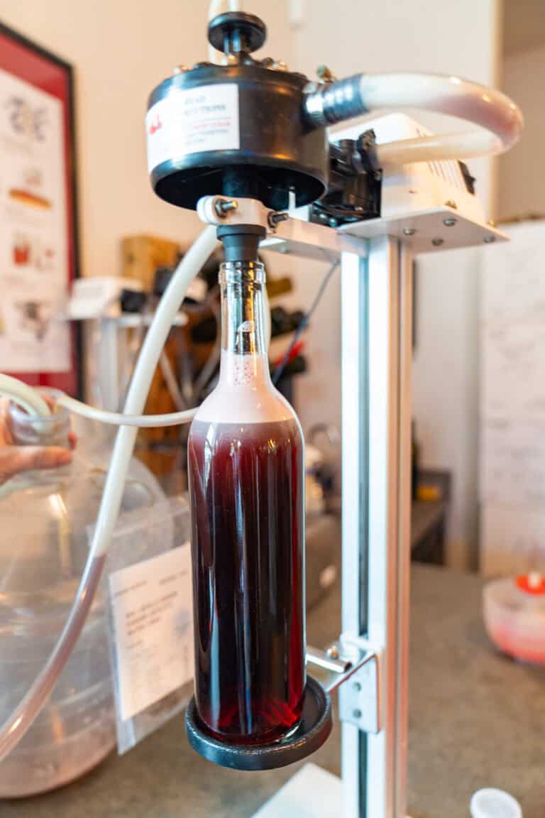 Raise Your Glass: Fun Ways to Enjoy Texas Wine Month - My Curly Adventures