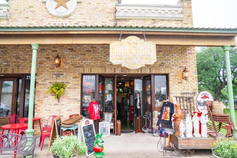 Top 12+ Unique Attractions in Buda Texas - My Curly Adventures