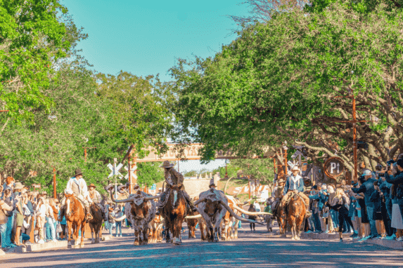 Best Fun Things to Do for Spring Break in Dallas, TX - My Curly Adventures