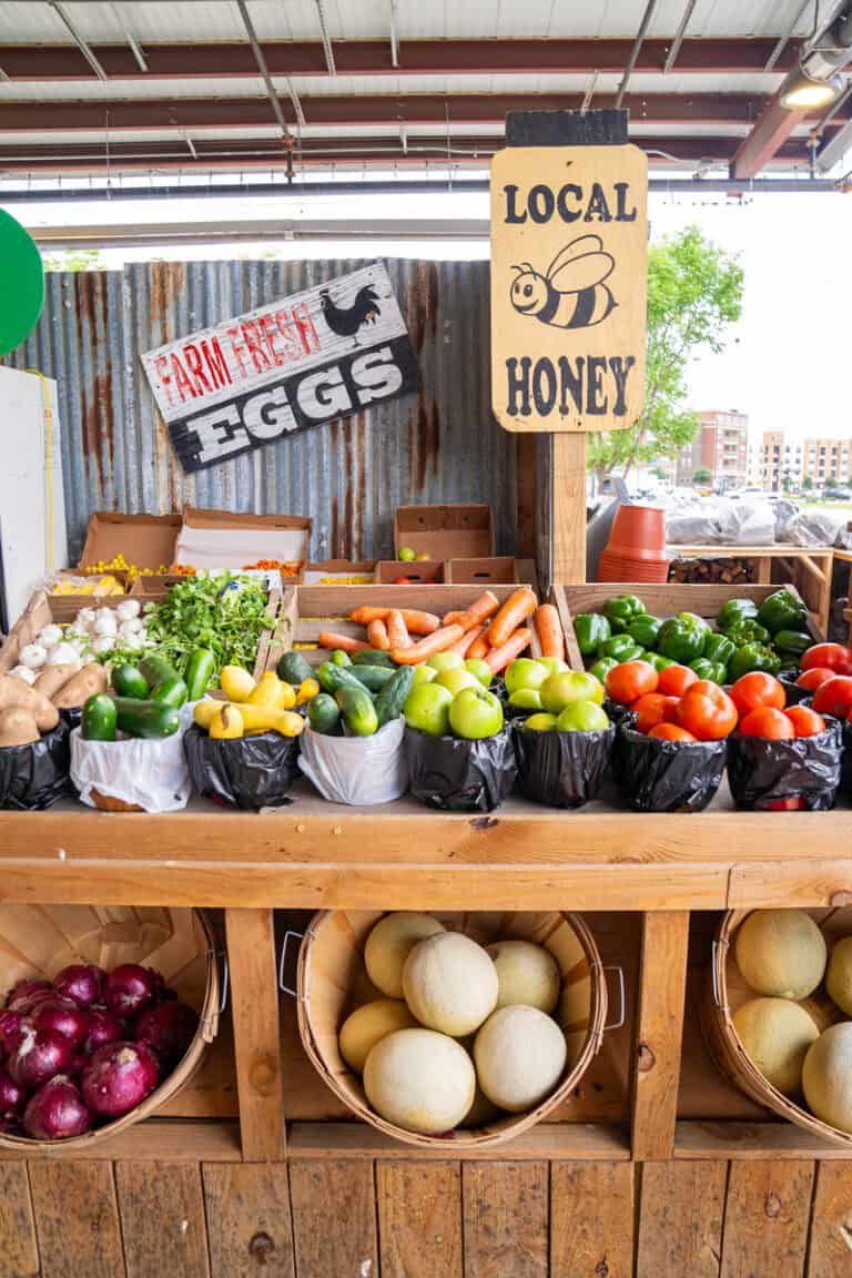 Top Things To Do with Kids in Frisco for Some Family Fun - My Curly ...