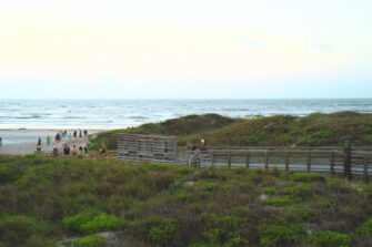 Top Surfing Spots to Ride the Waves in Texas - My Curly Adventures