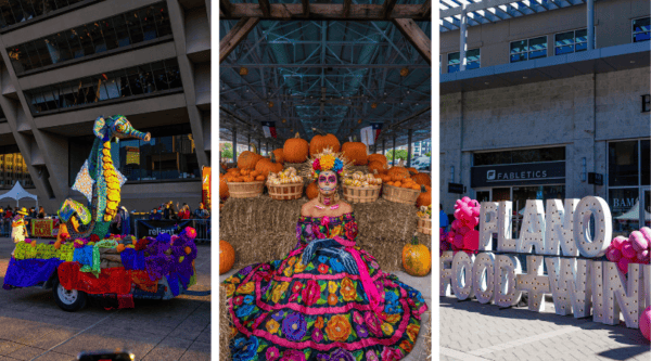 A Bucket List of the Best Dallas Things To Do This Fall - My Curly ...