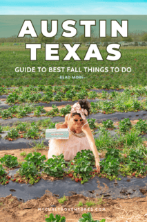 15+ Must-Experience Fall Things to Do in Austin - My Curly Adventures