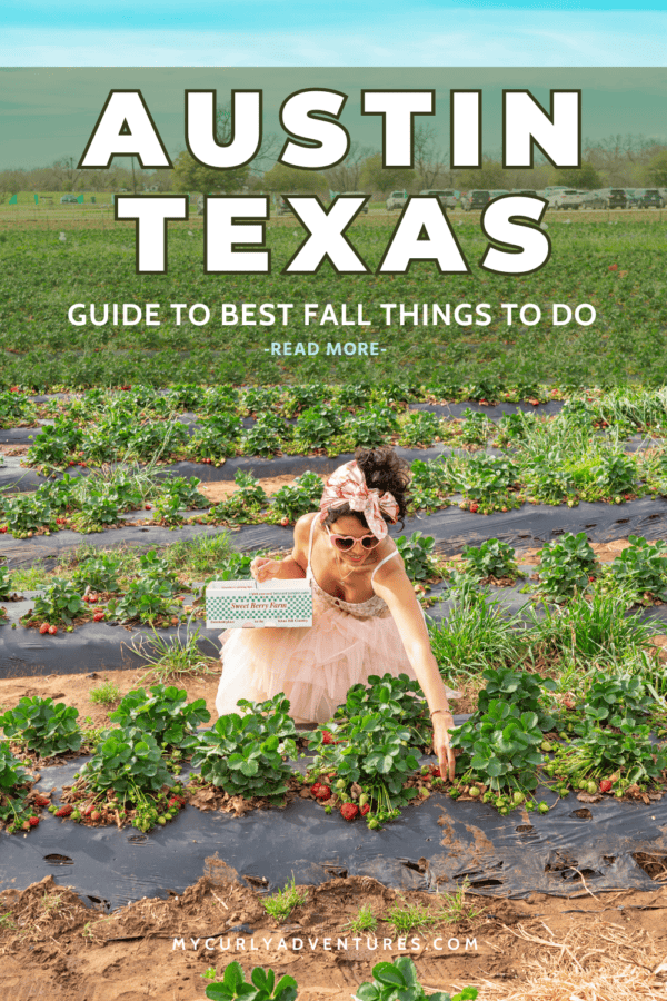 15+ Must-Experience Fall Things to Do in Austin - My Curly Adventures