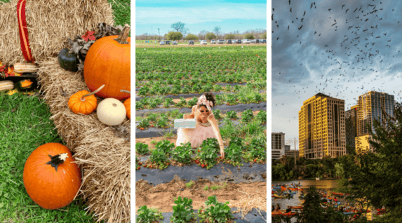 15+ Must-Experience Fall Things to Do in Austin - My Curly Adventures