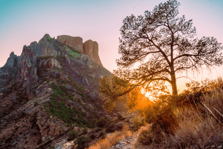 Most Scenic Texas Road Trips to Take This Fall - My Curly Adventures