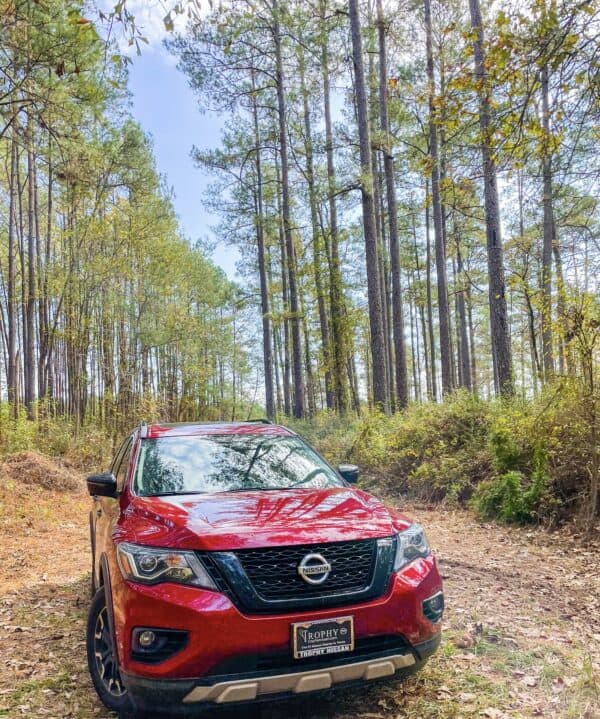 Most Scenic Texas Road Trips to Take This Fall - My Curly Adventures
