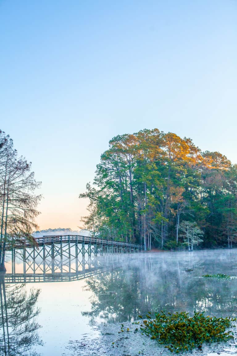 Most Scenic Texas Road Trips to Take This Fall - My Curly Adventures