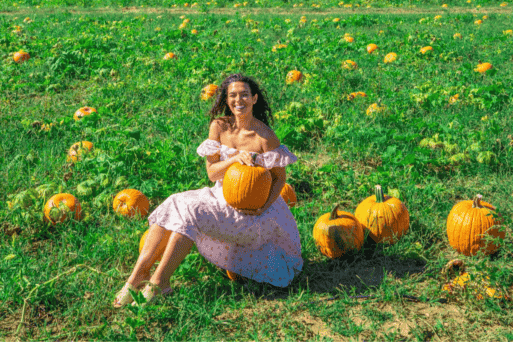20+ Epic Fall Activities in Houston You Can’t Miss - My Curly Adventures