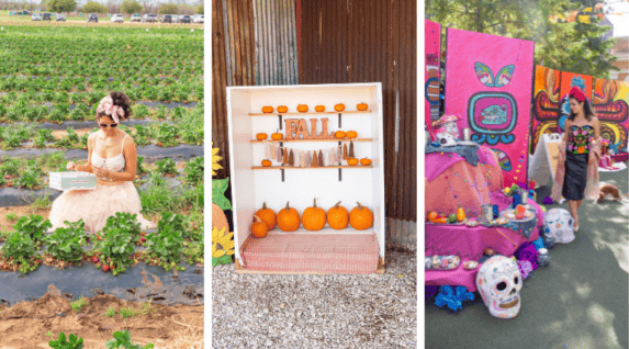 20+ Epic Fall Activities in Houston You Can’t Miss - My Curly Adventures