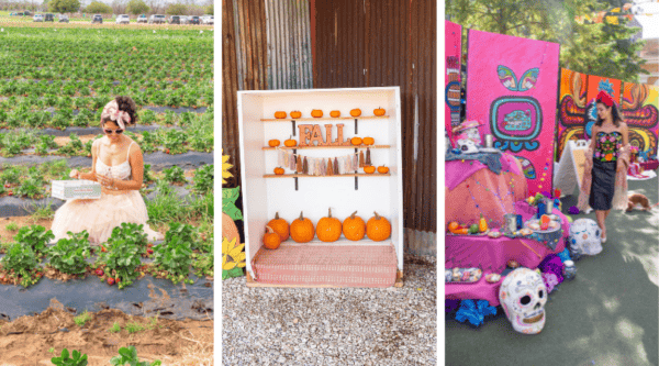 15+ Must-Experience Fall Things to Do in Austin - My Curly Adventures