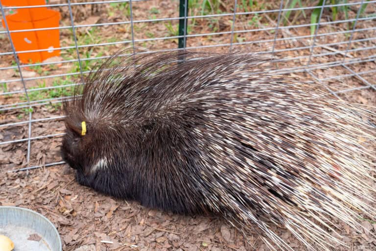 15+ Must-Experience Fall Things to Do in Austin - My Curly Adventures