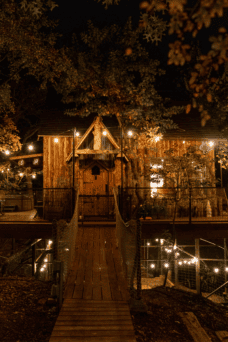 Family-Friendly Treehouse Rentals in Texas for Your Next Vacation - My ...