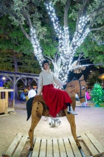 Holiday Activities in Grapevine, Christmas Capital of Texas - My Curly ...