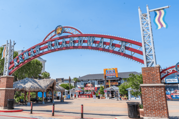 Ultimate Guide for Spring Break Ideas in Houston - My Curly Adventures