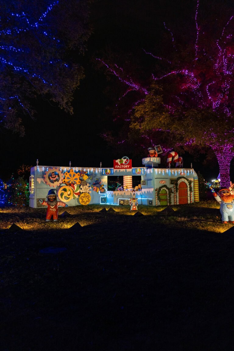 Guide to the Best Winter Things To Do in Austin, TX - My Curly Adventures