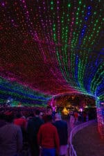 Guide to the Best Winter Things To Do in Austin, TX - My Curly Adventures