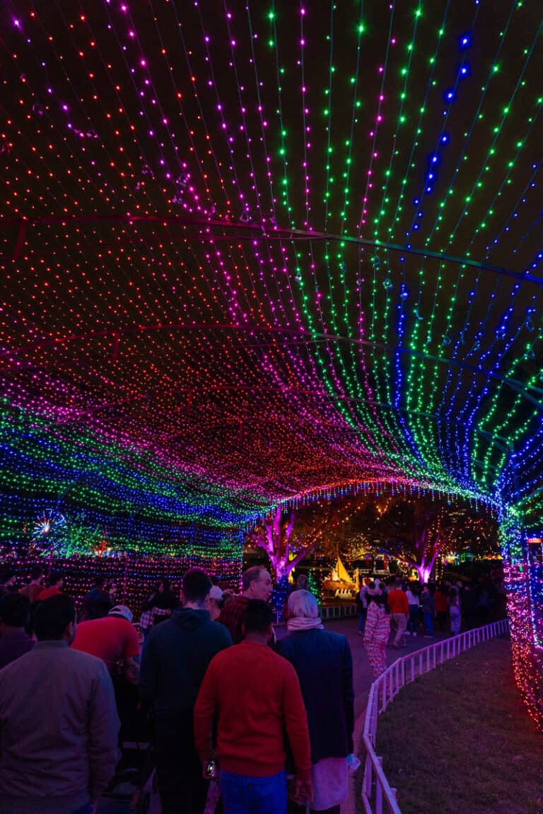 Guide to the Best Winter Things To Do in Austin, TX - My Curly Adventures