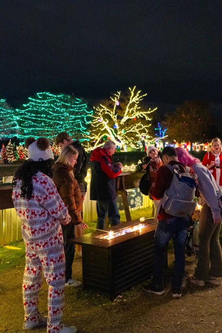 Guide to the Best Winter Things To Do in Austin, TX - My Curly Adventures