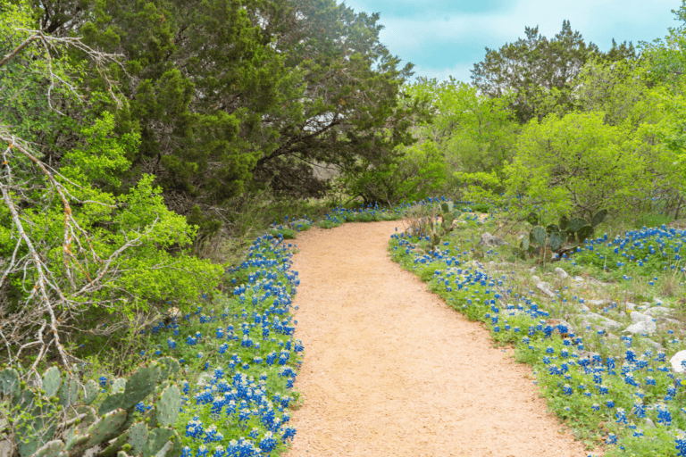 Guide to the Best Winter Things To Do in Austin, TX - My Curly Adventures