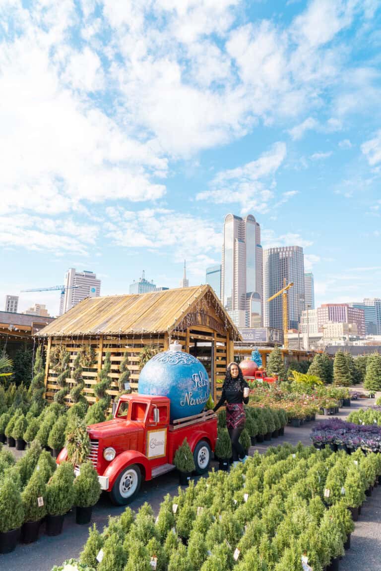Best Things To Do in Dallas, Texas This Winter - My Curly Adventures