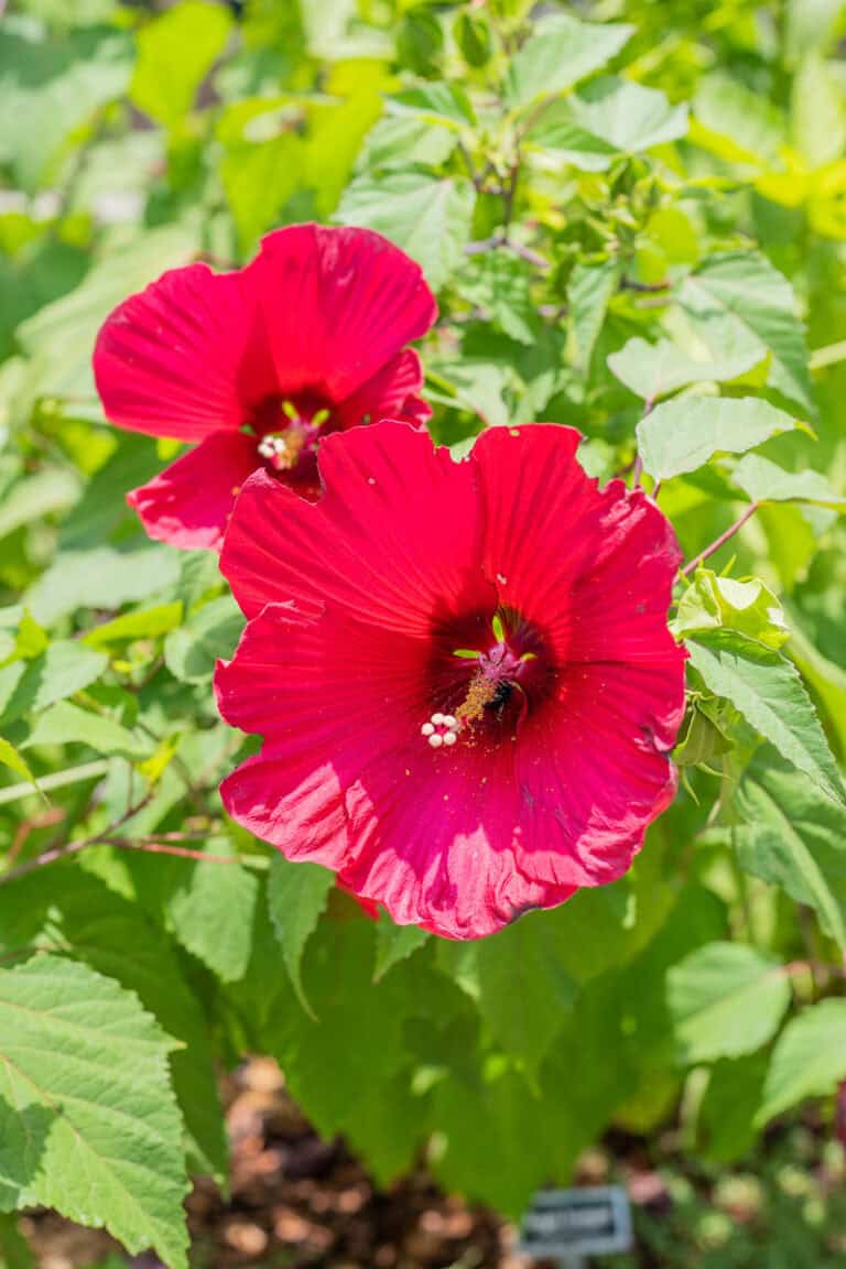 Family-Friendly Things to Do During Spring Break in Texas - My Curly ...