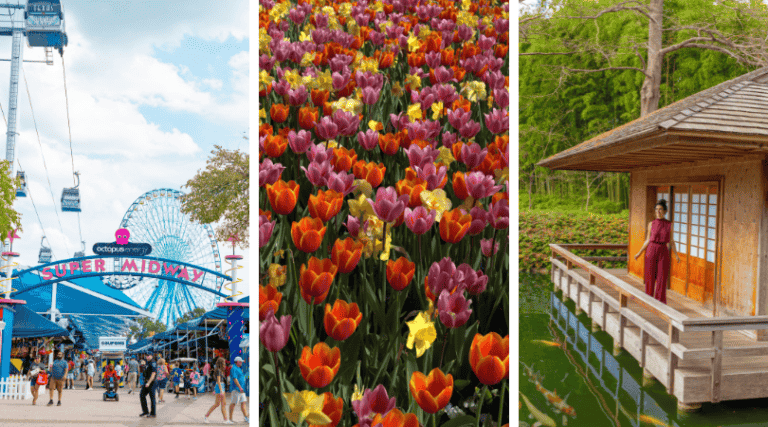 Best Fun Things to Do for Spring Break in Dallas, TX - My Curly Adventures