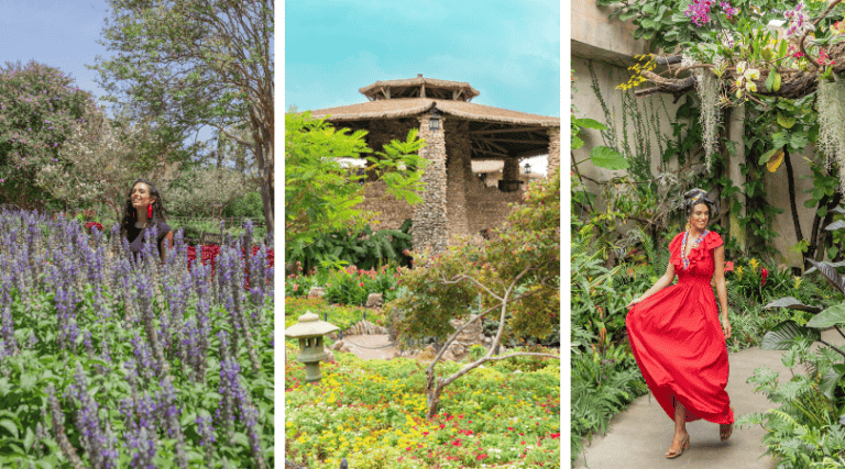 Ultimate Texas Spring Break Guide for Adults - My Curly Adventures