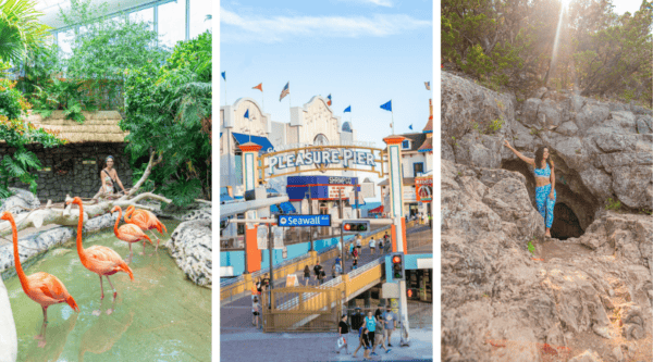 Family-Friendly Things to Do During Spring Break in Texas - My Curly ...