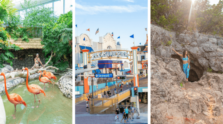 Family-Friendly Things to Do During Spring Break in Texas - My Curly ...