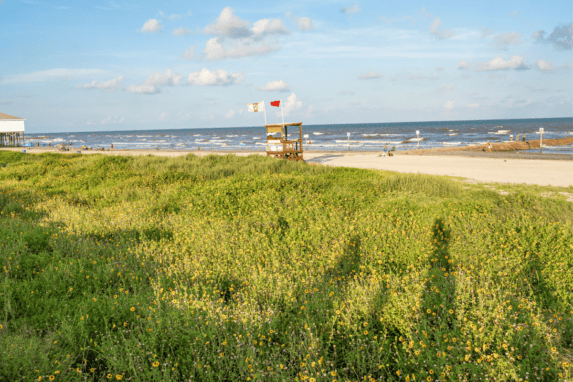 Best Activities in Galveston, Texas for Spring Break - My Curly Adventures