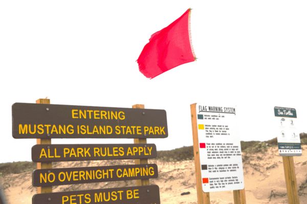 Top Fun Things to Do in Corpus Christi for Spring Break - My Curly ...