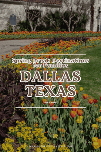 Fun Spring Break Destinations for Families in Dallas - My Curly Adventures