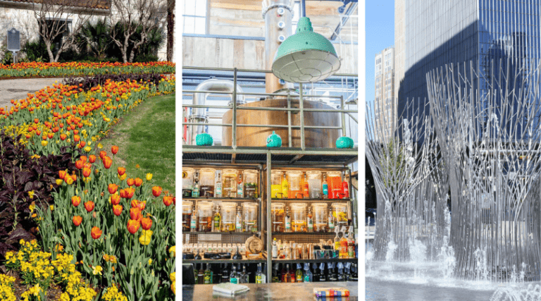 Fun Spring Break Destinations for Families in Dallas - My Curly Adventures