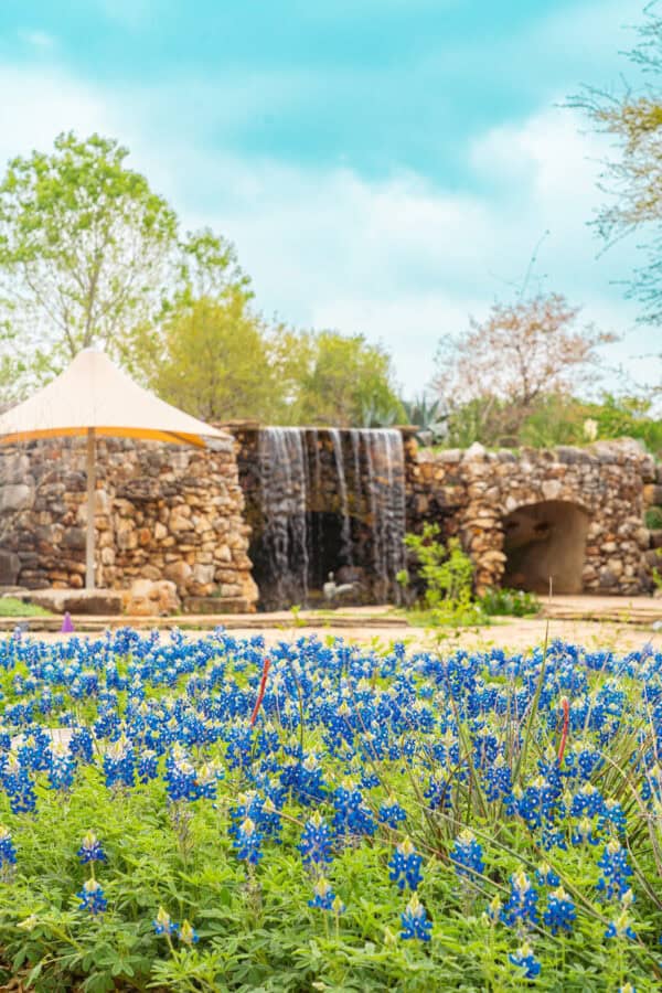 Top Spring Break Destinations for Families in Austin - My Curly Adventures