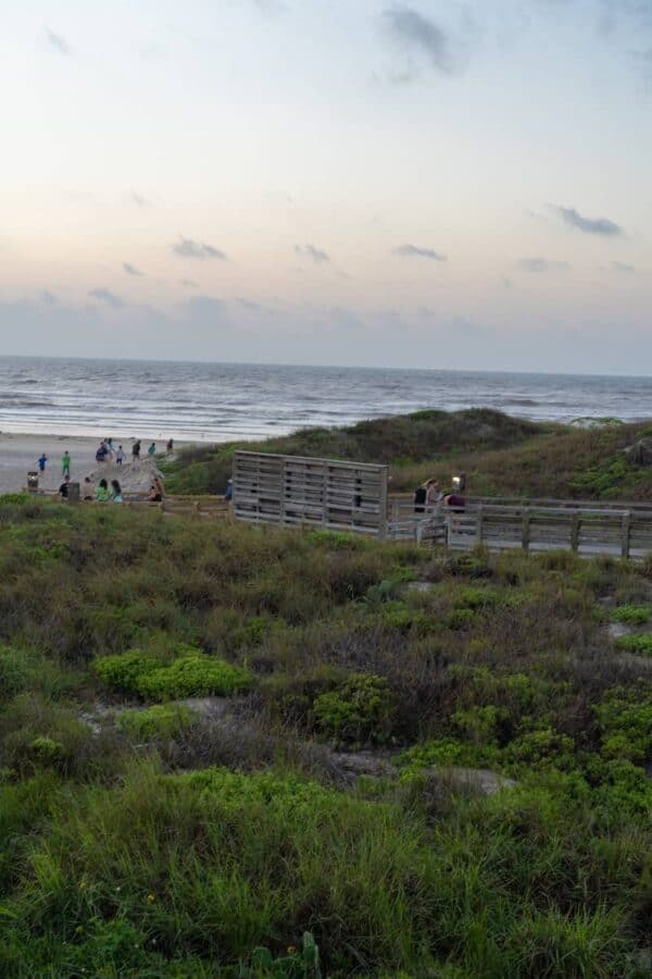 Free Things to Do During Spring Break in TX - My Curly Adventures