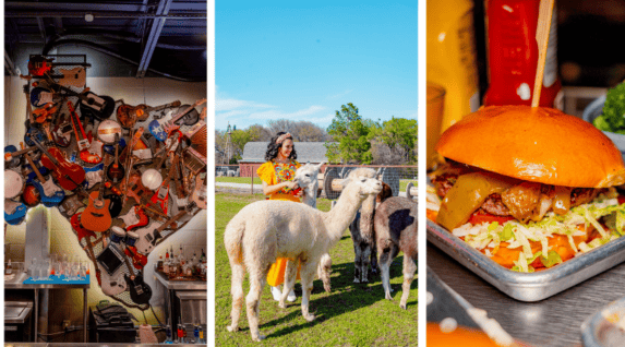 Ultimate Day Trips 1 Hour from Dallas in Texas - My Curly Adventures