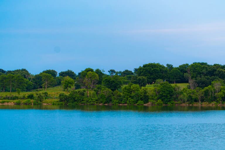 Lake Halbert Park Guide: Top Things to See and Do - My Curly Adventures