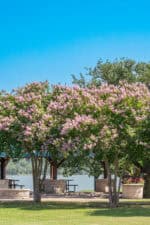 Lake Halbert Park Guide: Top Things to See and Do - My Curly Adventures