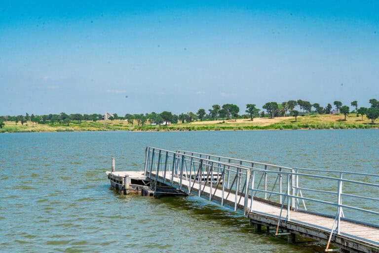 Lake Halbert Park Guide: Top Things to See and Do - My Curly Adventures