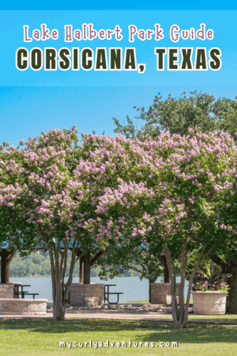 Lake Halbert Park Guide: Top Things to See and Do - My Curly Adventures