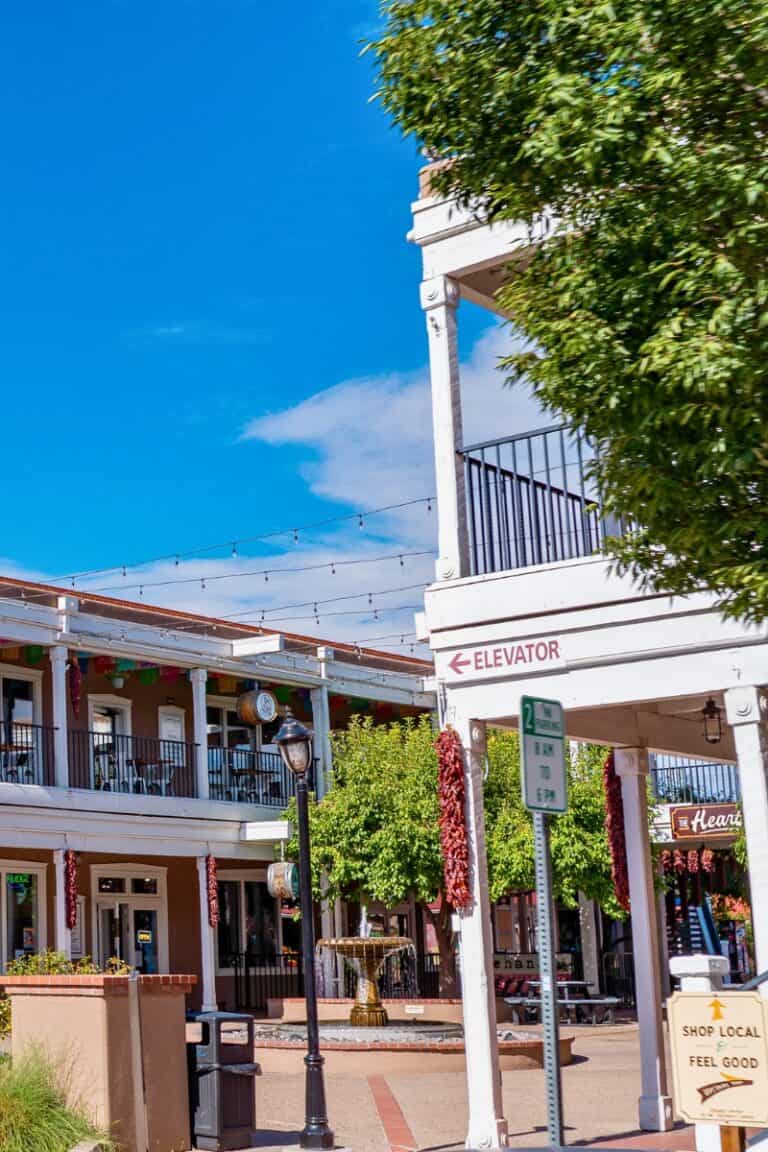 Top Outdoor Activities and Adventures in Albuquerque, NM - My Curly ...