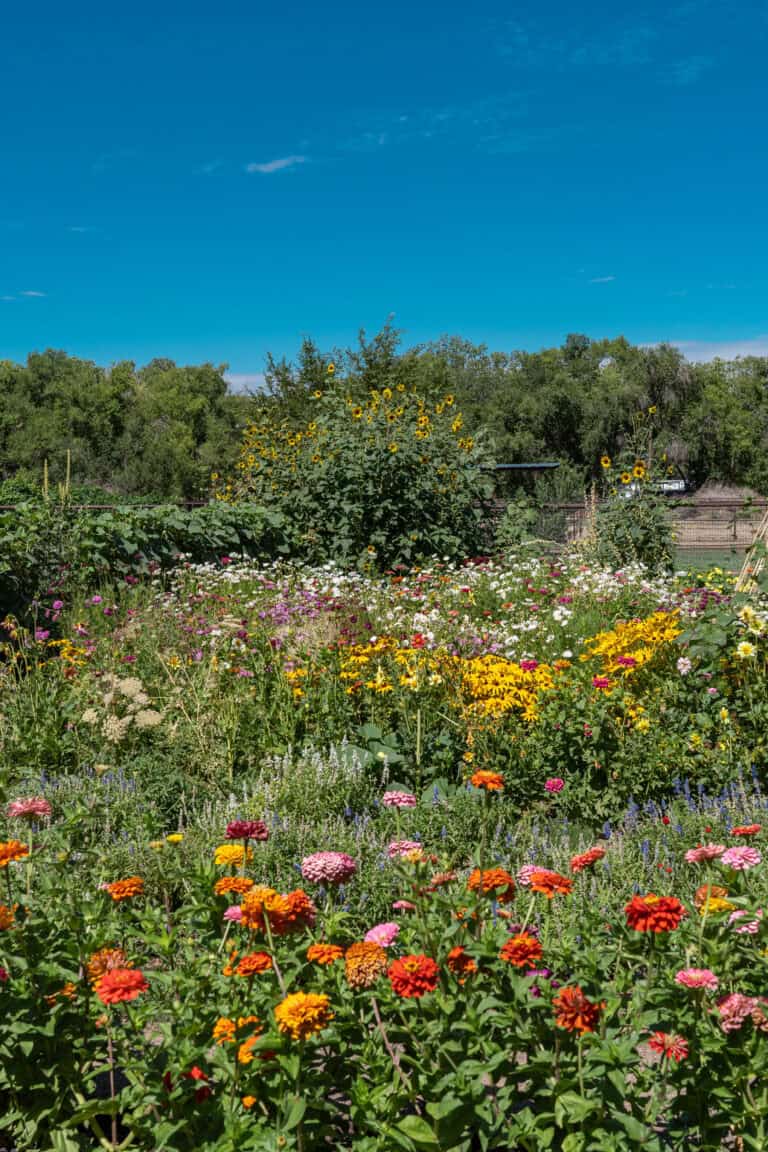 Top Outdoor Activities and Adventures in Albuquerque, NM - My Curly ...